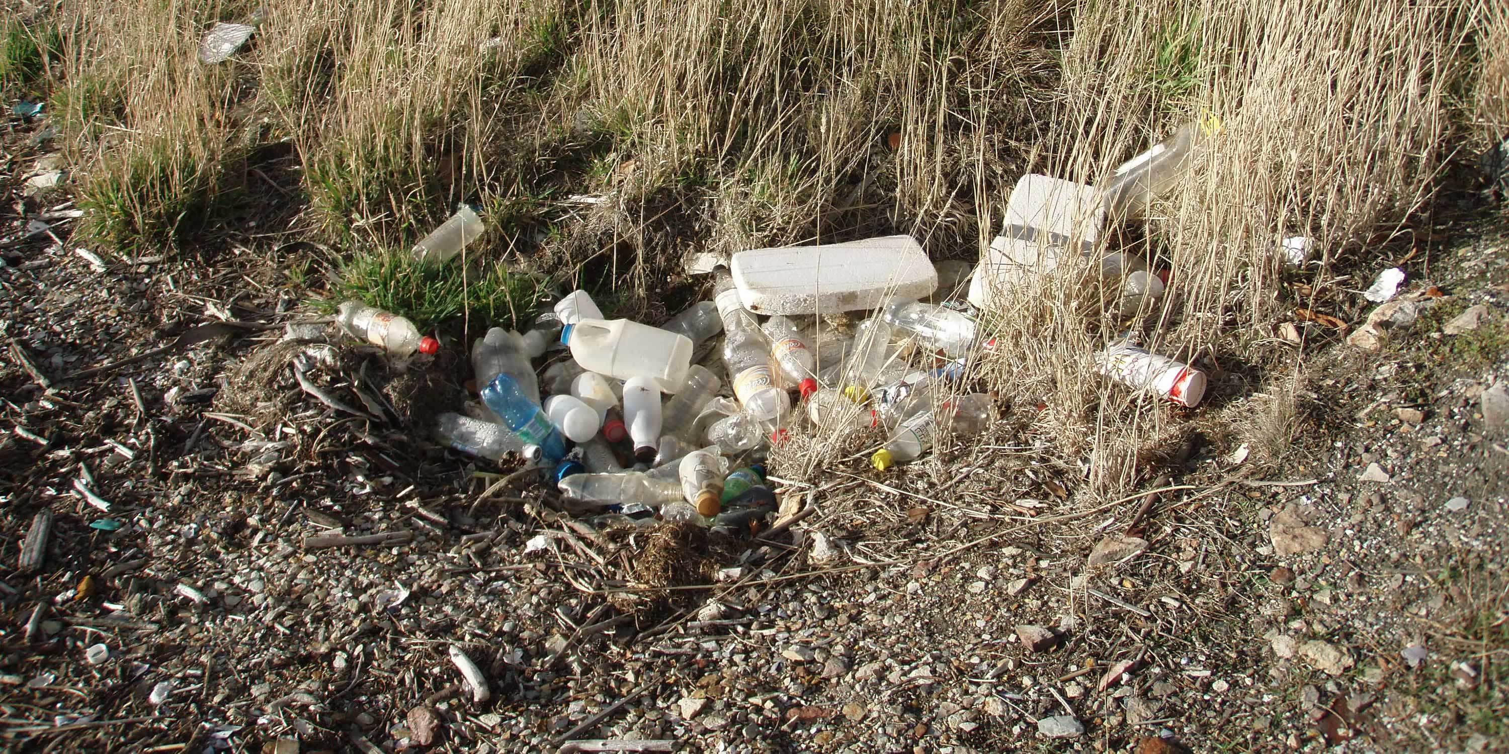 Litter | Derwent Estuary Program