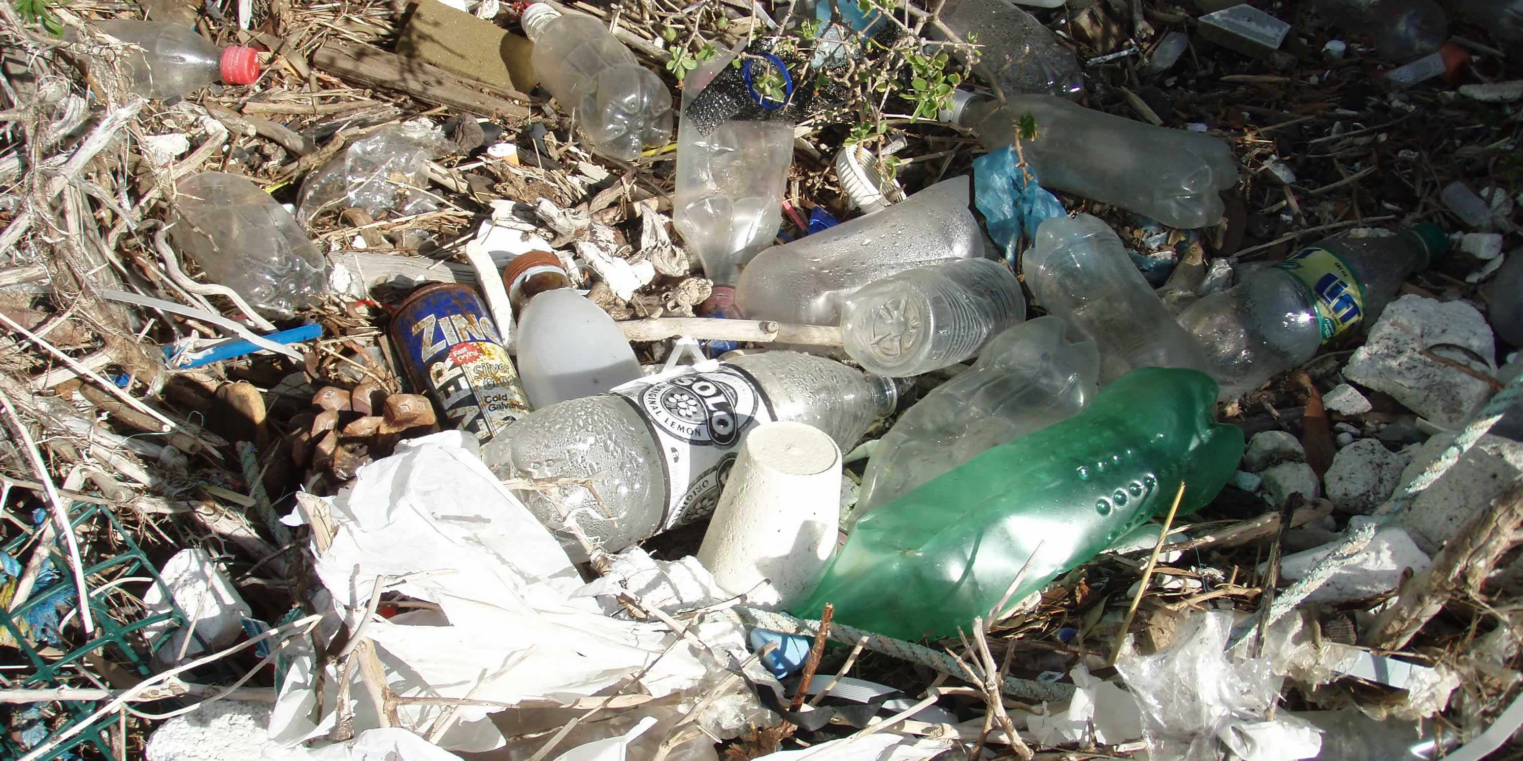 Litter | Derwent Estuary Program