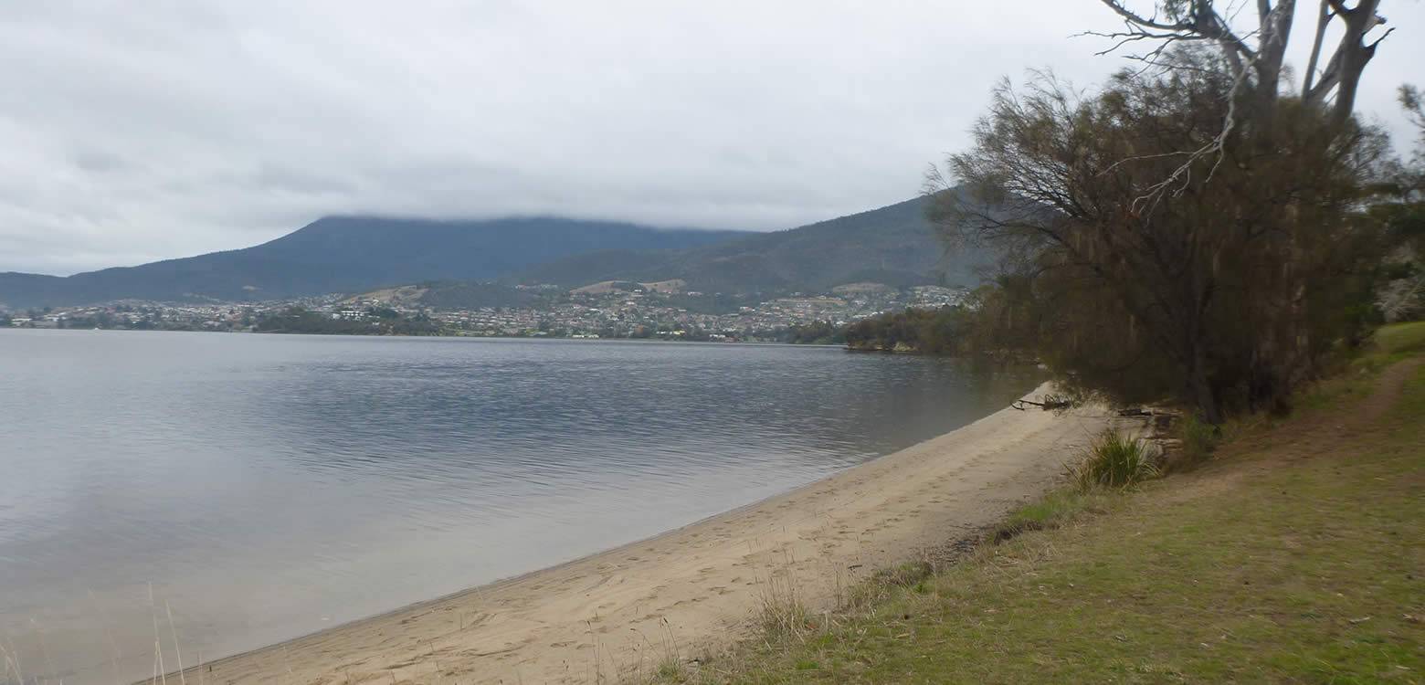 Beach Watch | Derwent Estuary Program